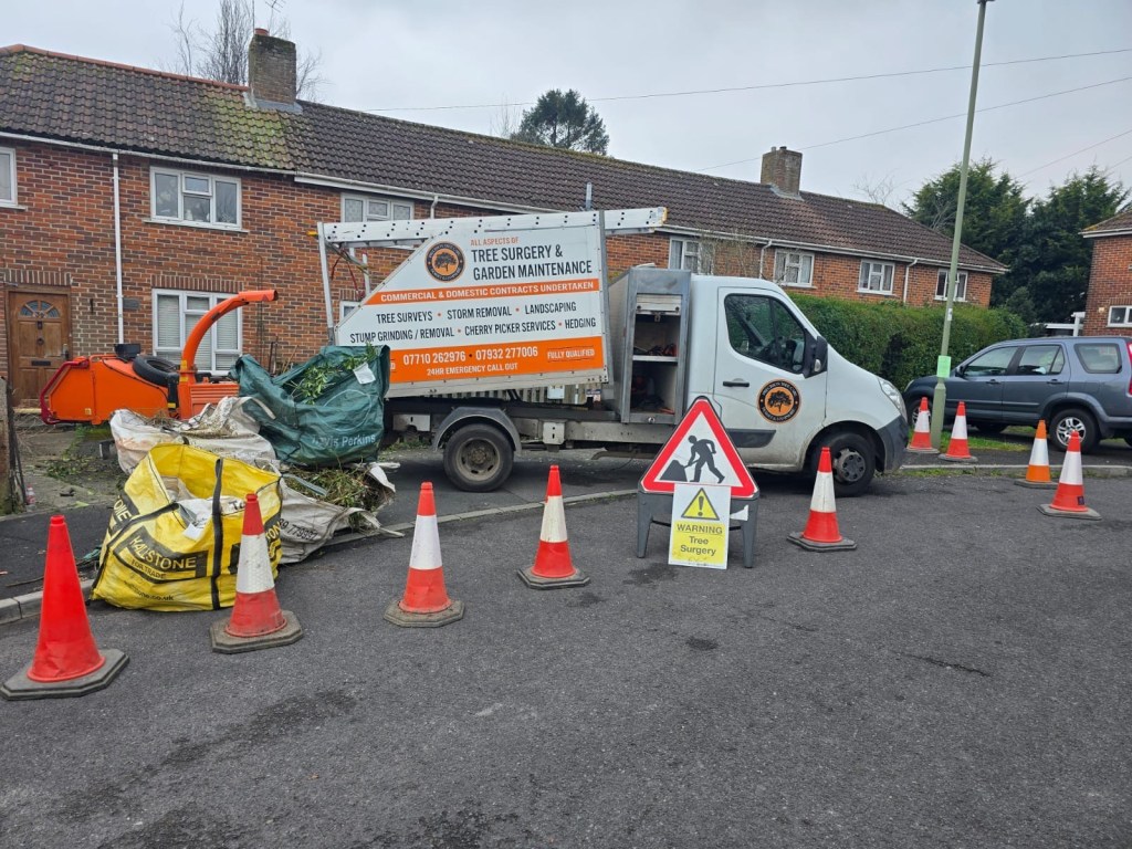 Tree Care – Precision Tree Care